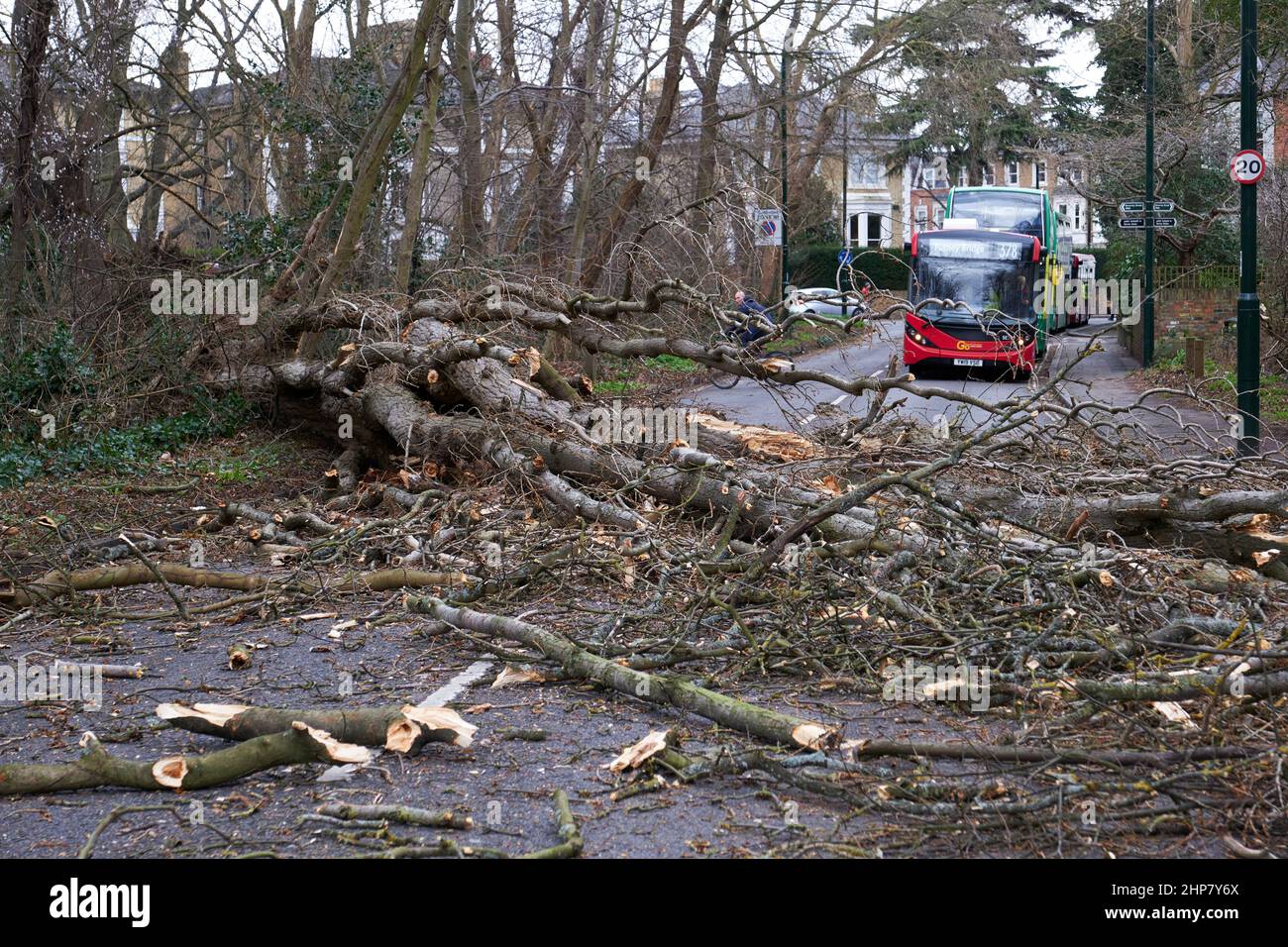 Storm damage, uprooted trees and traffic disruption caused by Storm ...
