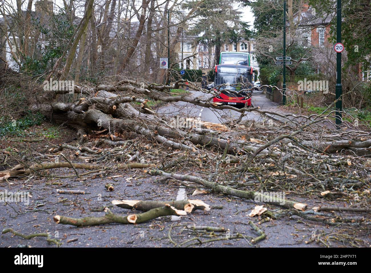 Storm damage, uprooted trees and traffic disruption caused by Storm ...