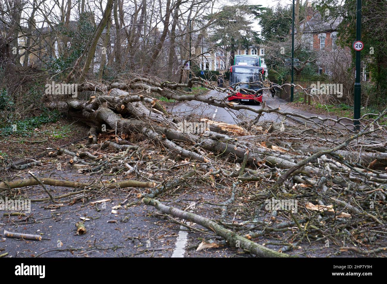 Storm damage, uprooted trees and traffic disruption caused by Storm ...