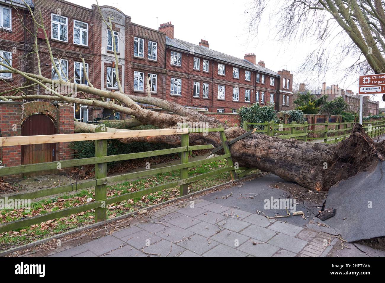 Storm damage, uprooted trees and traffic disruption caused by Storm ...