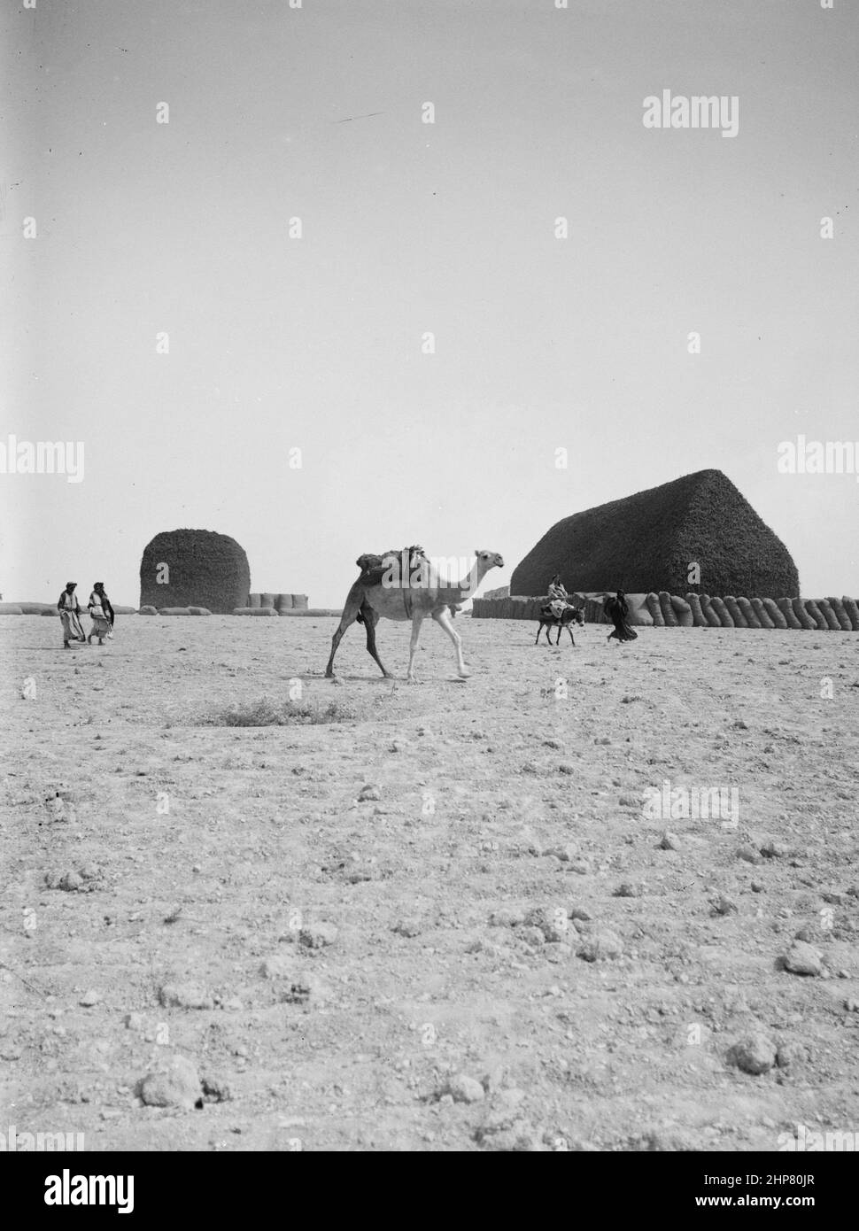 Middle East History: Stack of licorice [at Aleppo] Location: Syria ...
