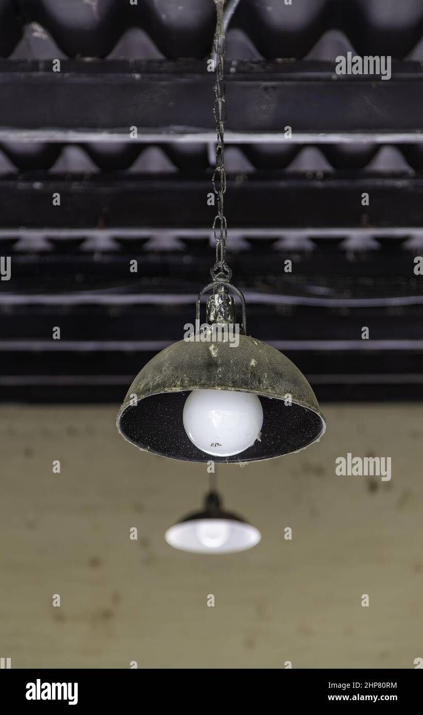 Industrial metal lamp inside the fish market, lighting and decoration ...