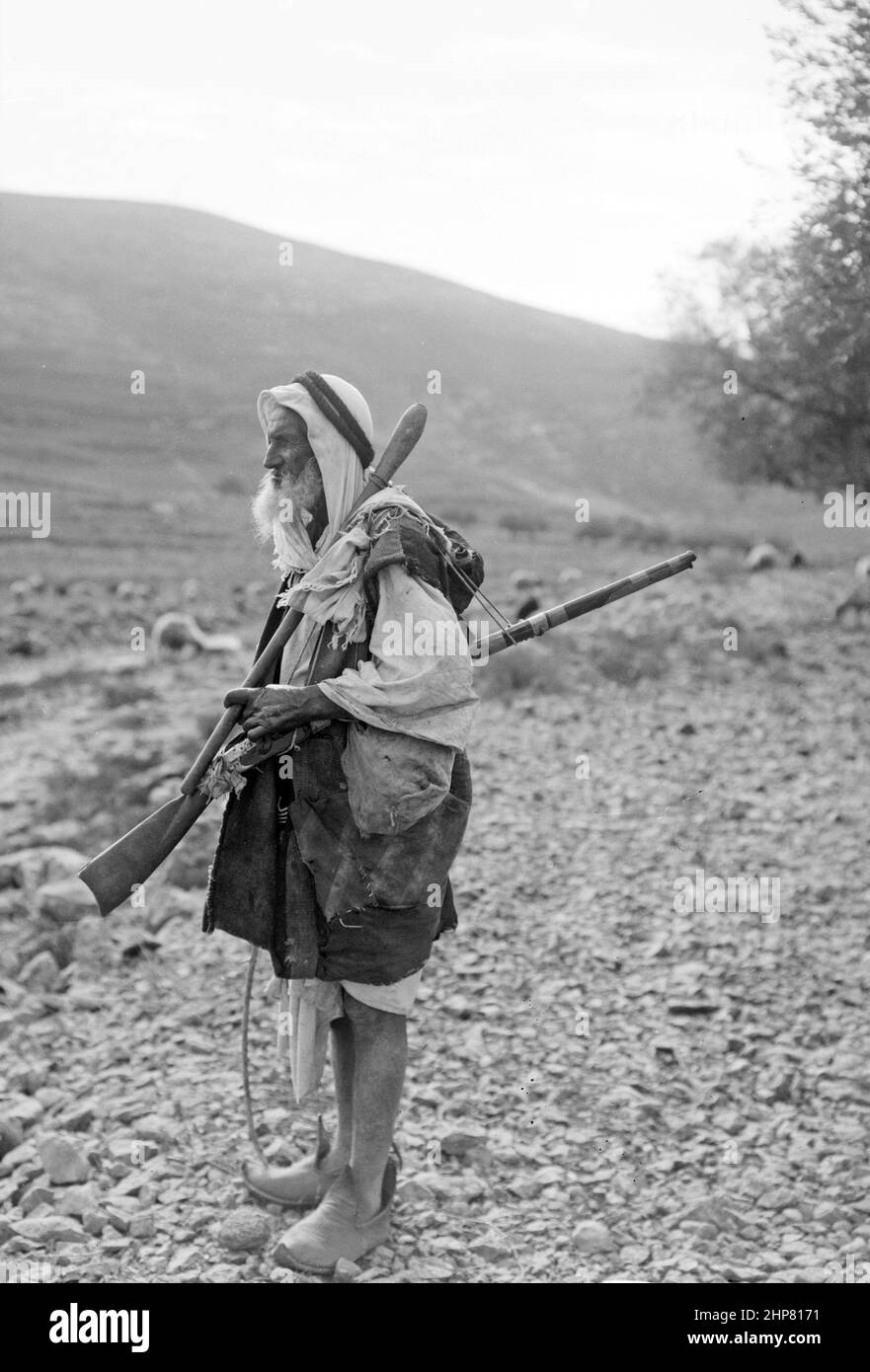 Ancient Shepherds Staff