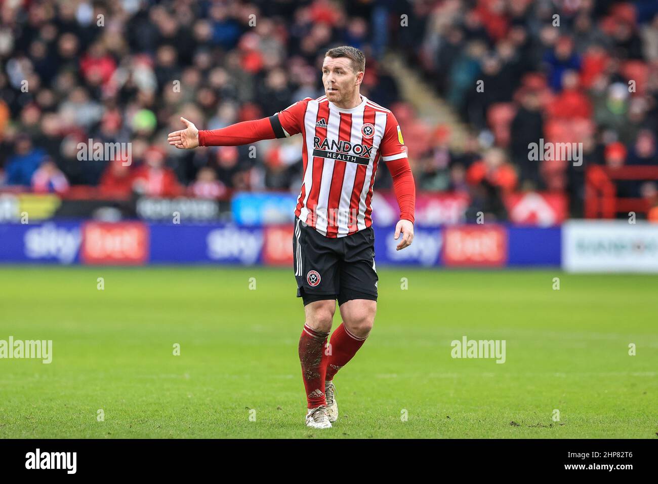 John Fleck #4 of Sheffield United gives his team instructions Stock ...