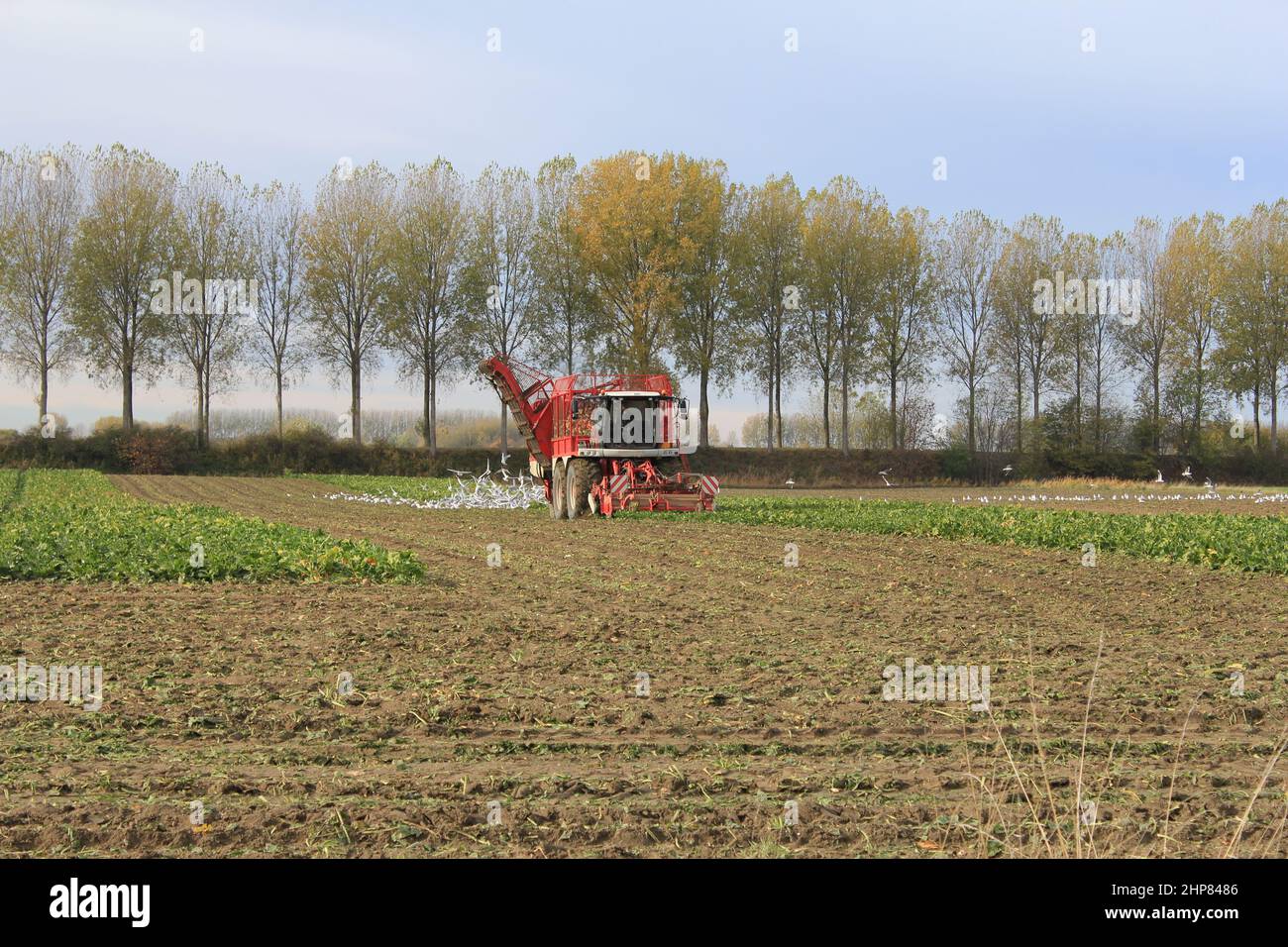 Beet harvester hi-res stock photography and images - Alamy