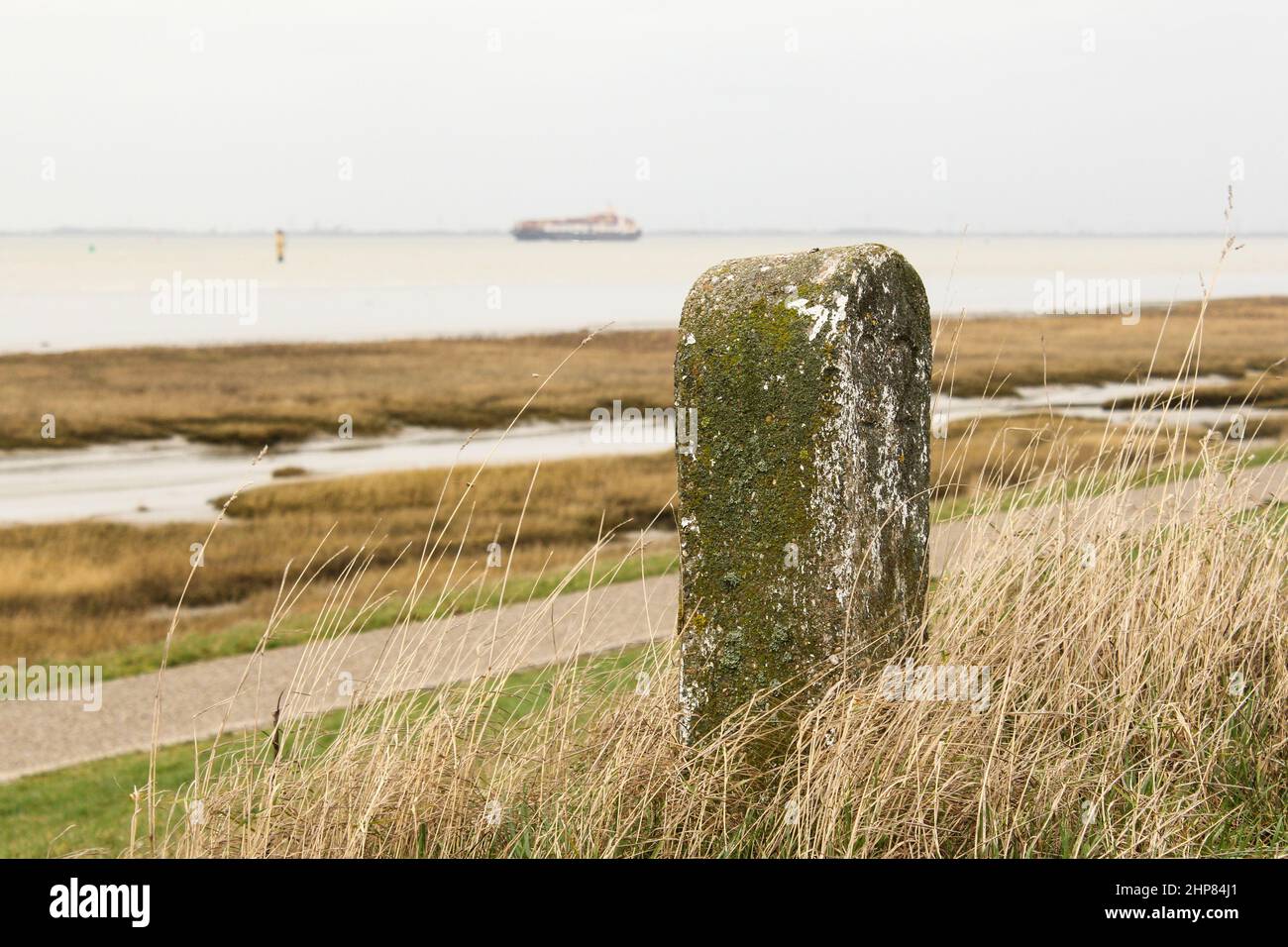 Holland marsh hi-res stock photography and images - Alamy