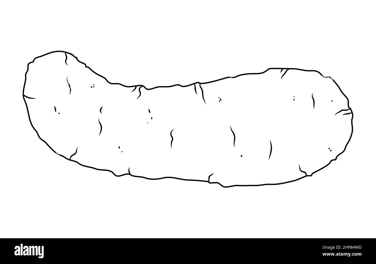 outline poop vector icon. isolated black line element illustration from ...