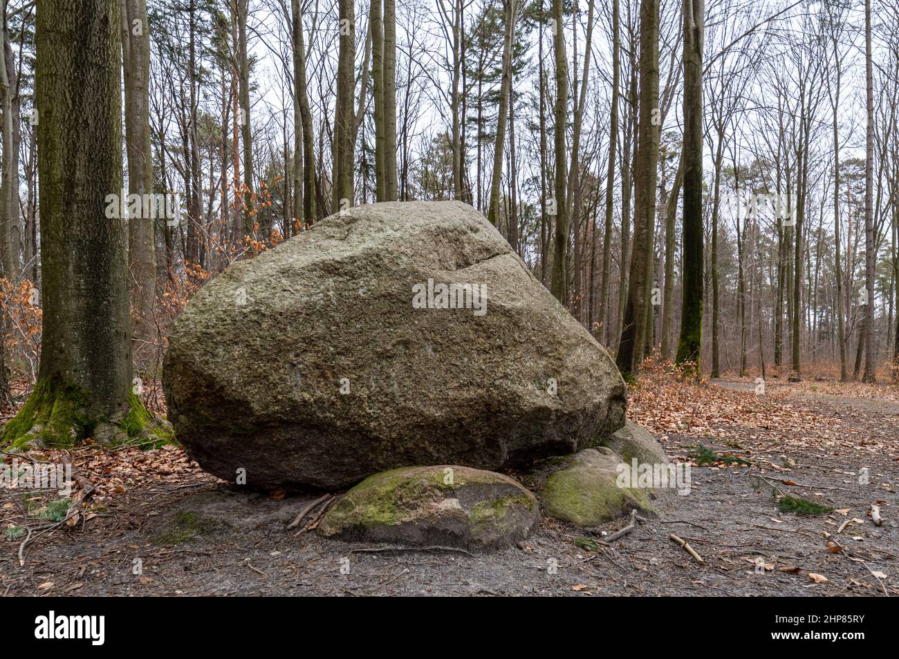 Closeup shot of a big boulder in a forest Stock Photo - Alamy