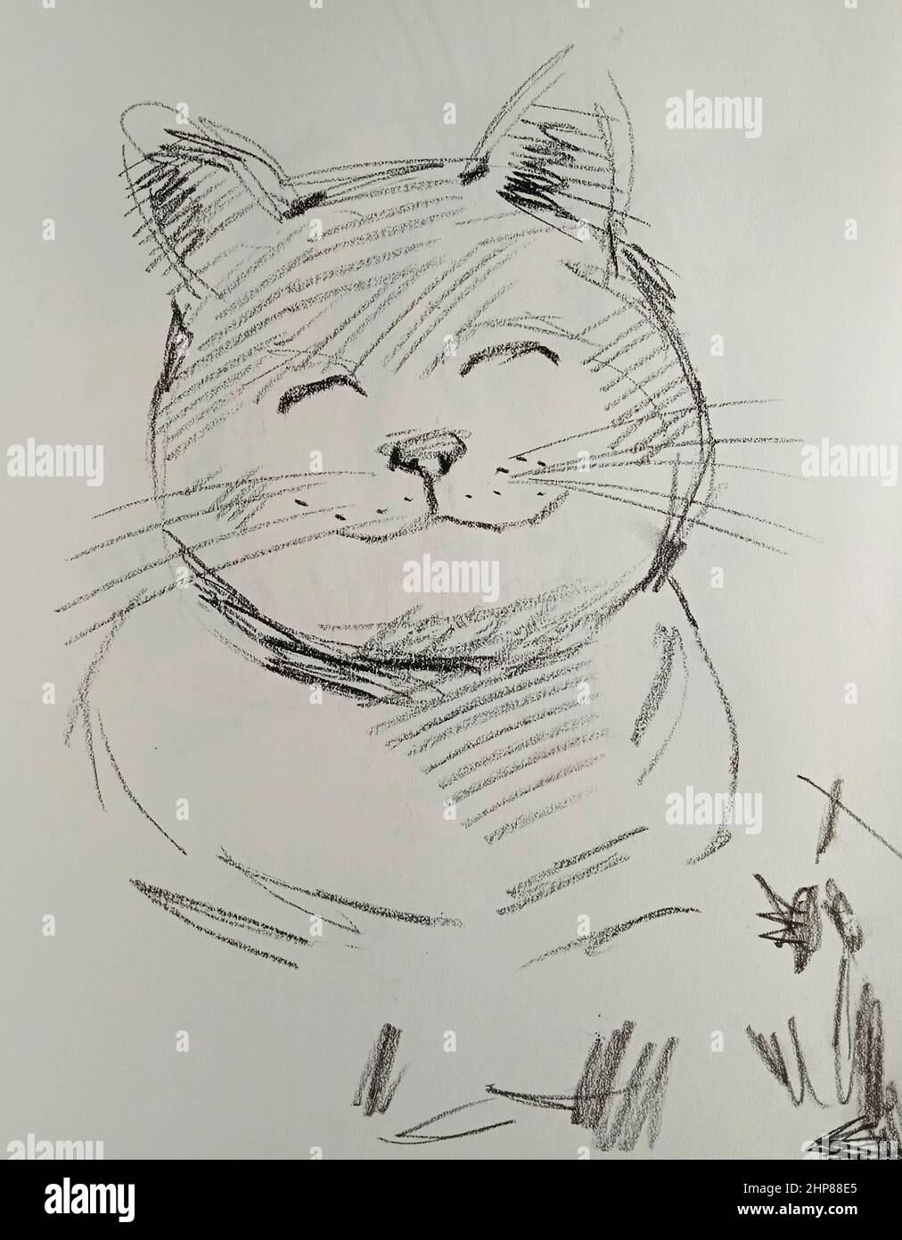Free time, light and shadow line drawing, cute cat , meaow Stock Photo ...