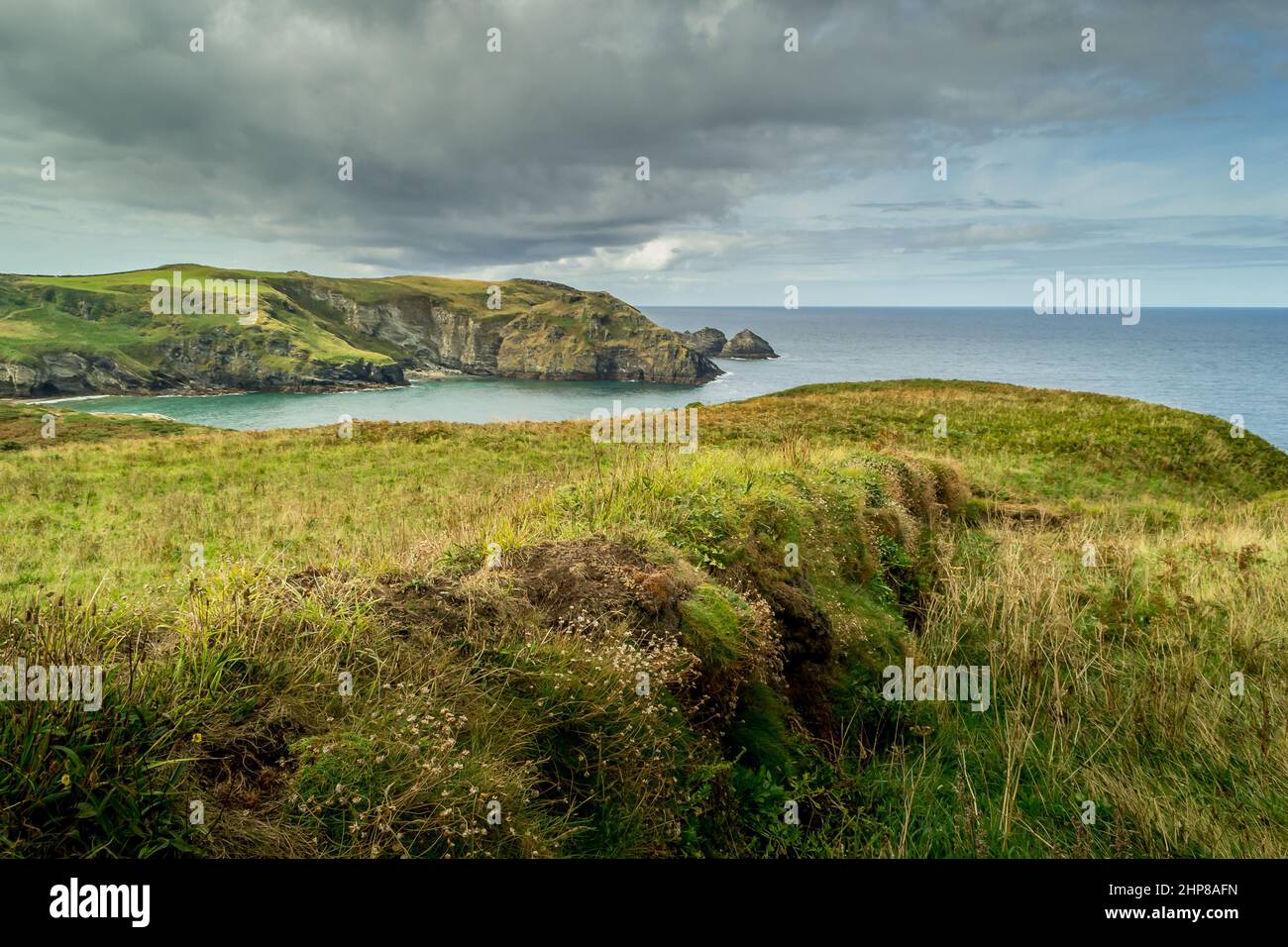 An old wall covered with plants and flowers on the clifftop above ...