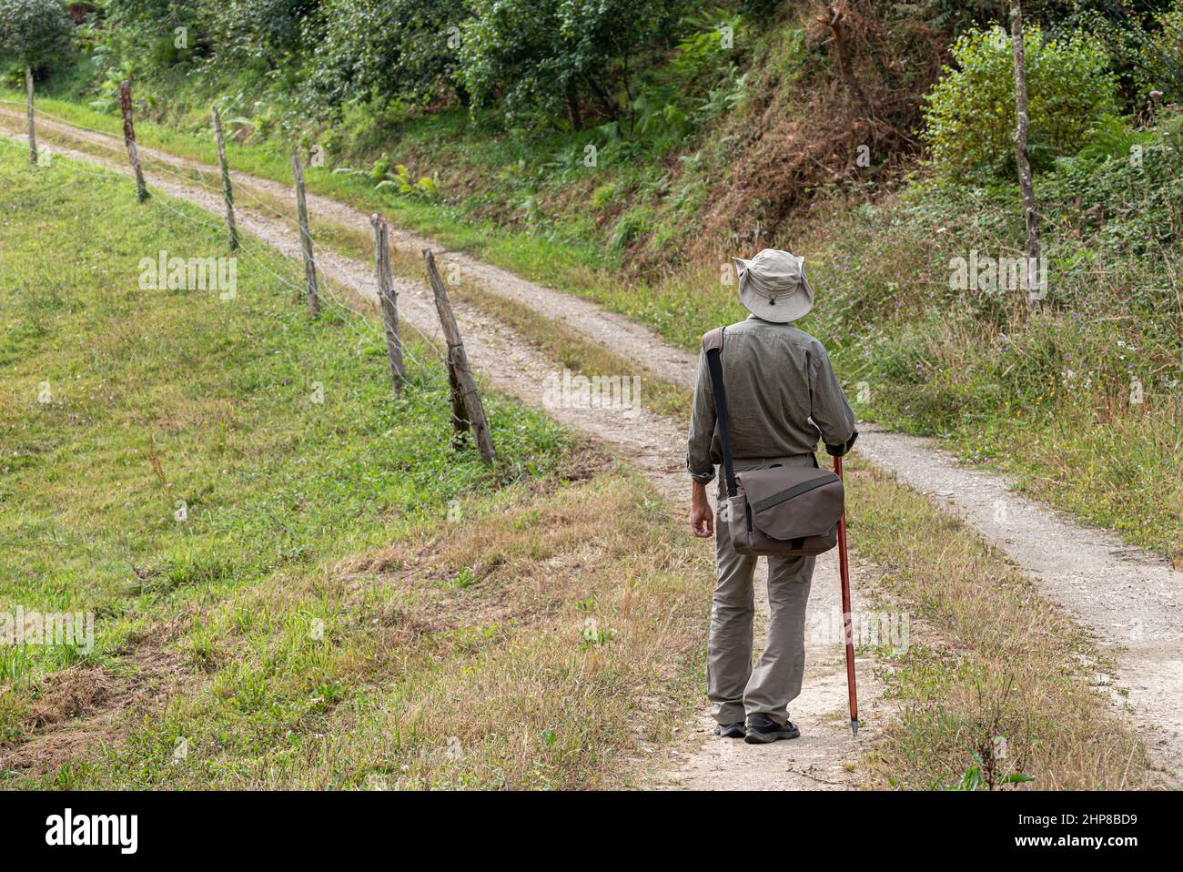 Pilgrim with hat, bag and stick walking along a path through the ...
