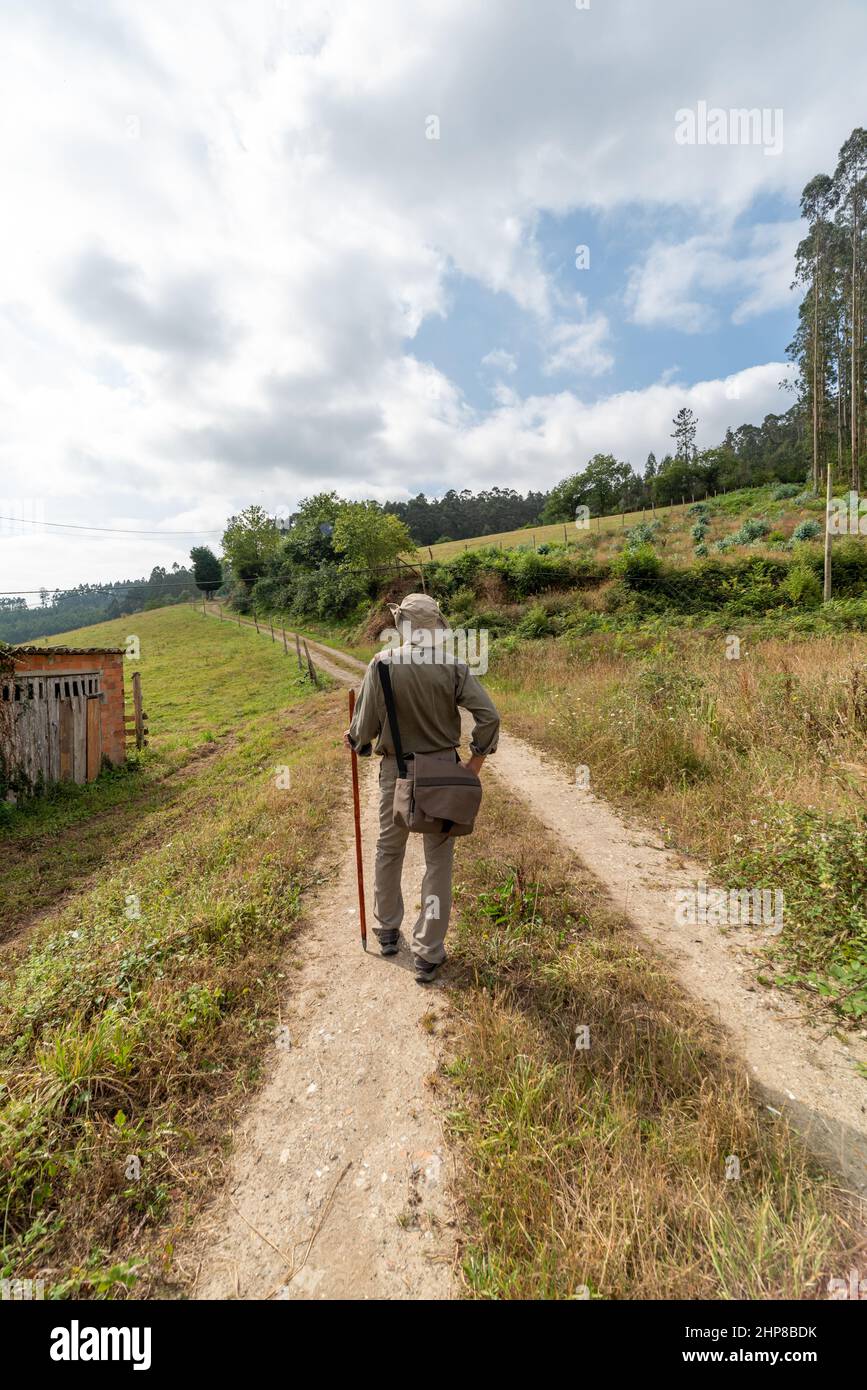 Pilgrim with hat, bag and stick walking along a path through the ...
