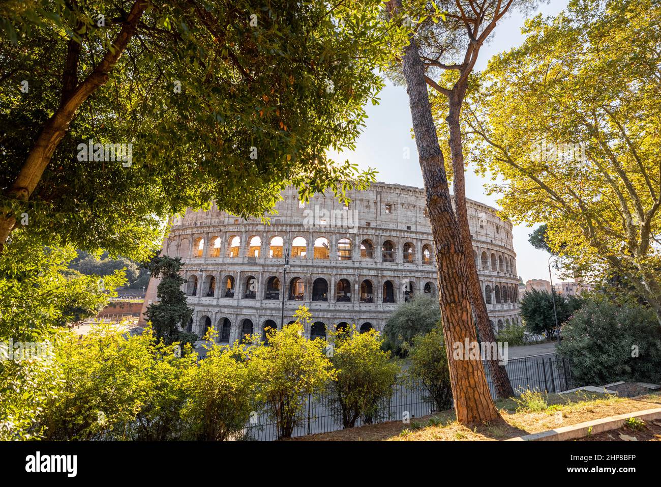 View of Colosseum through trees in park Stock Photo - Alamy