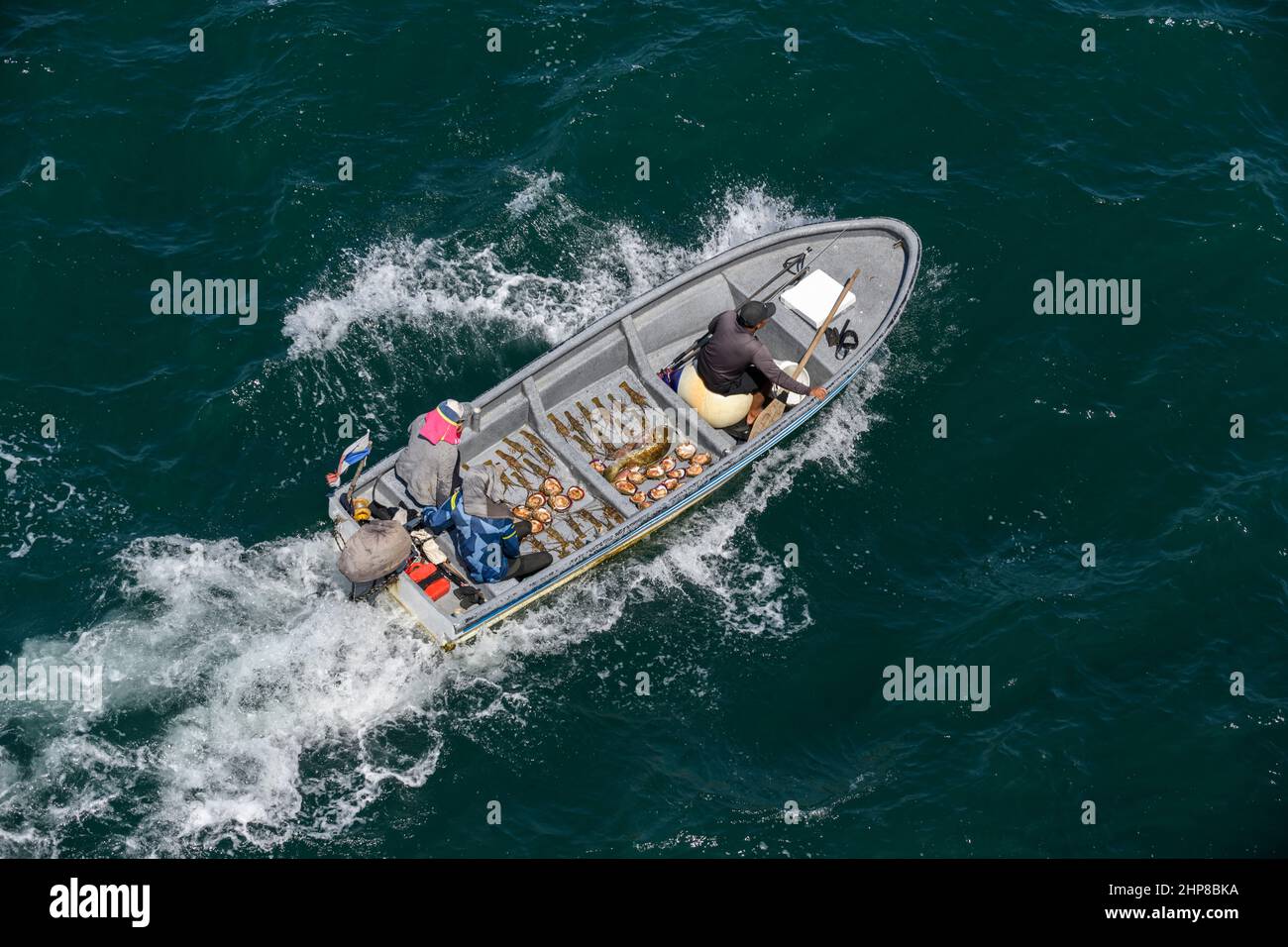 Small fishing boat with fishermen sailing at sea. Fish, shells ...