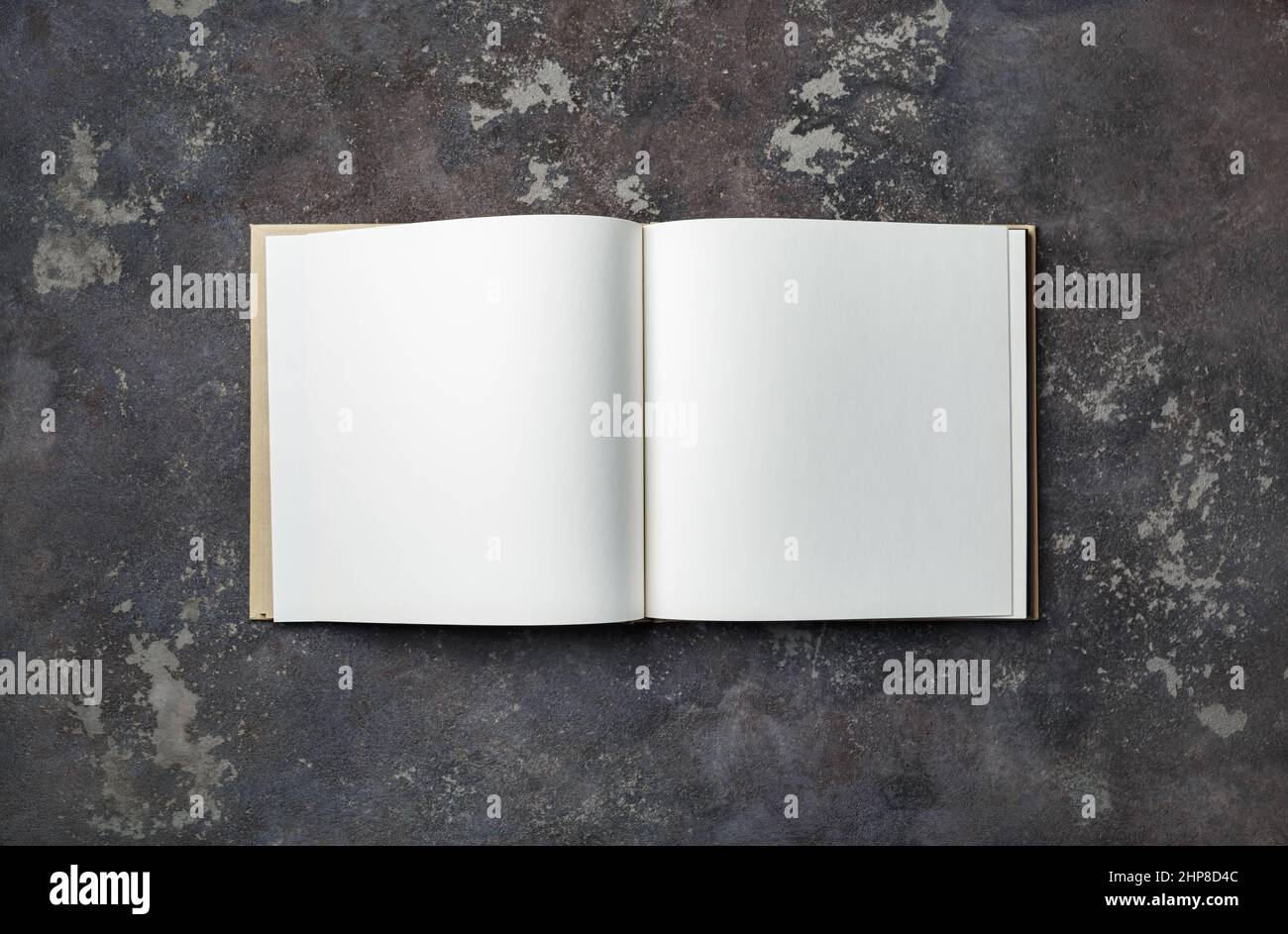 Blank open book on concrete background. Flat lay Stock Photo - Alamy