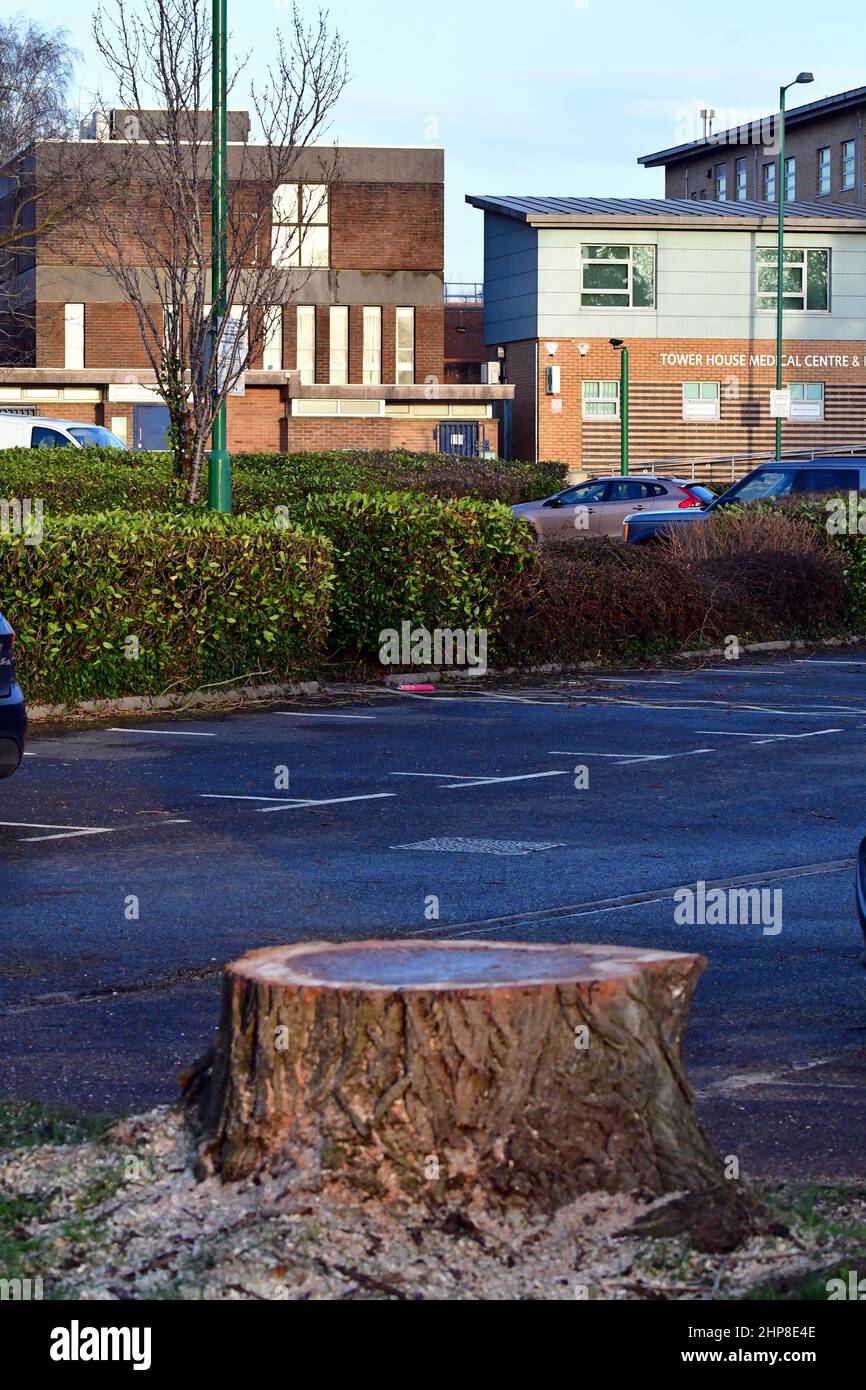 After yesterday storm eunice hi-res stock photography and images - Alamy