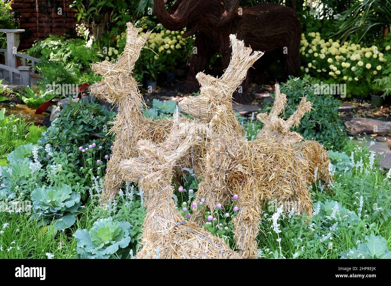 Deer Woven Made From Straw, Makes of The Cereal Crops Such As Barley ...