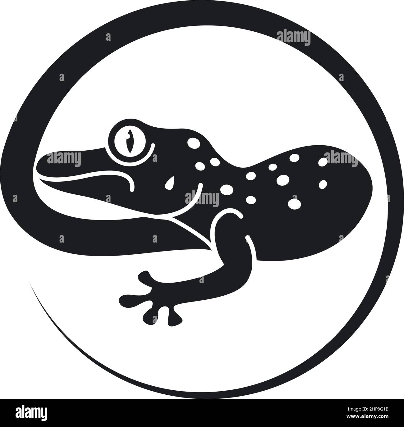 Gecko vector hi-res stock photography and images - Alamy