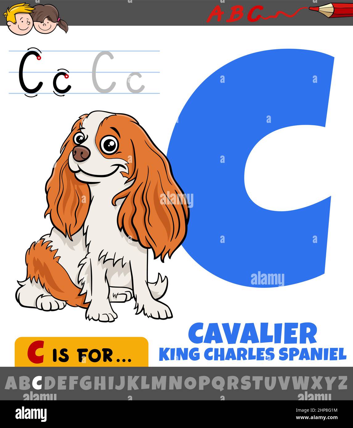 Animal alphabet c hi-res stock photography and images - Alamy