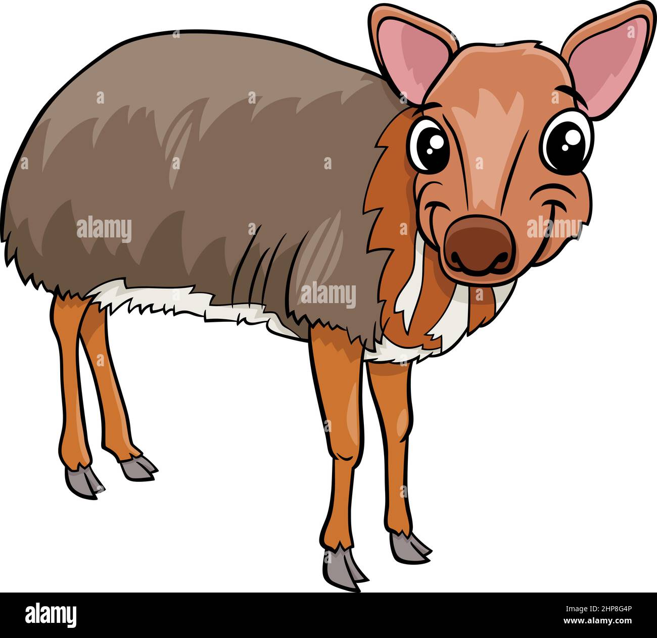 cartoon chevrotain comic animal character Stock Vector Image & Art - Alamy