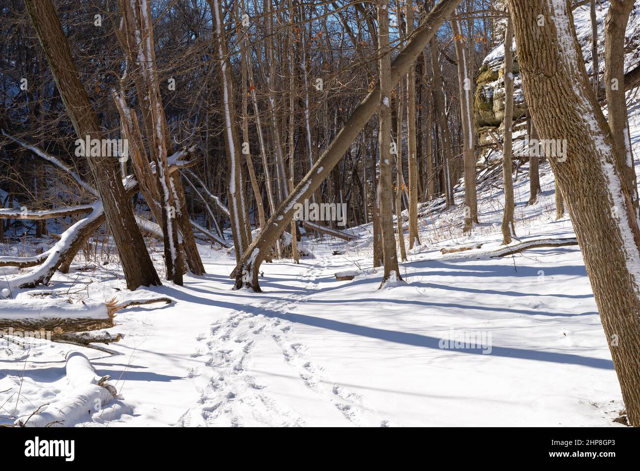 Hiking trail through Illinois Canyon after a Winter snow. Starved Rock ...