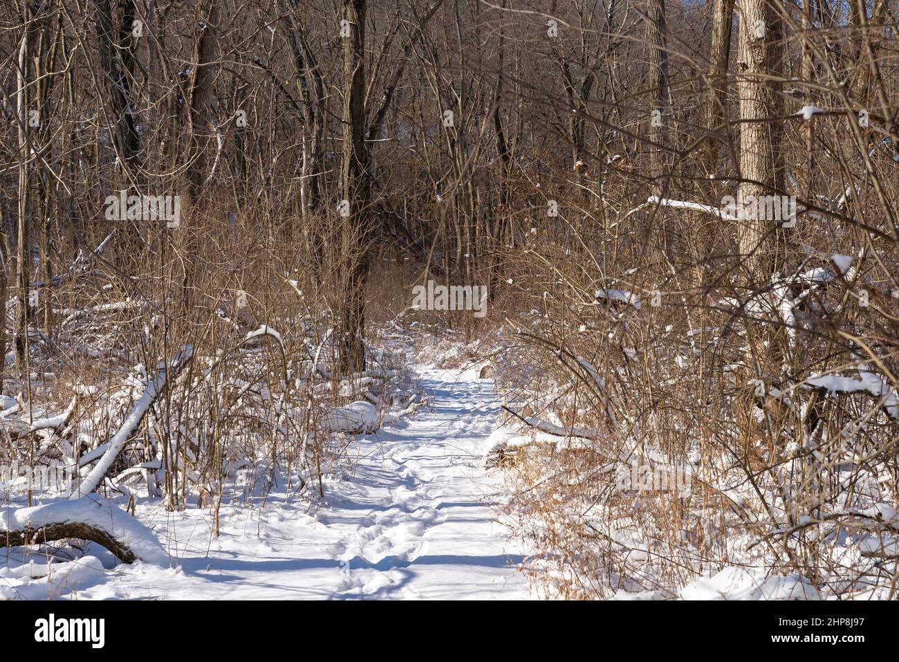 Hiking trail through Illinois Canyon after a Winter snow. Starved Rock ...