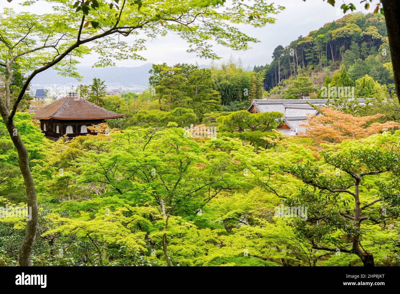 Ginkaku ji temple green hi-res stock photography and images - Alamy