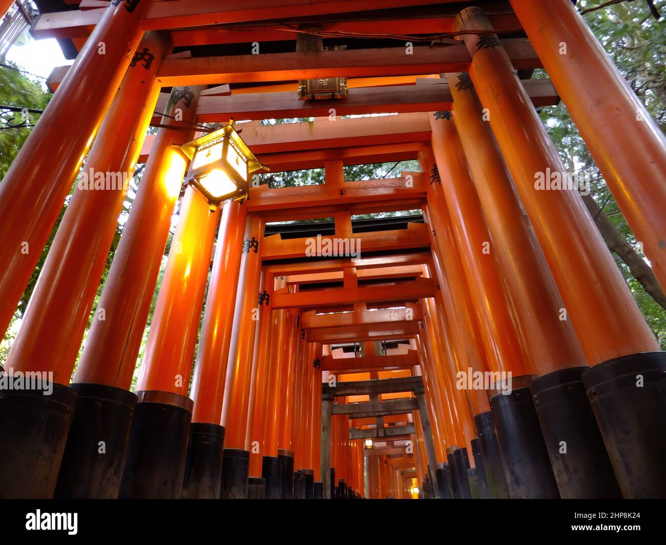 Twilight view of the Senbon Torii of Fushimi Inari-taisha at Kyoto ...