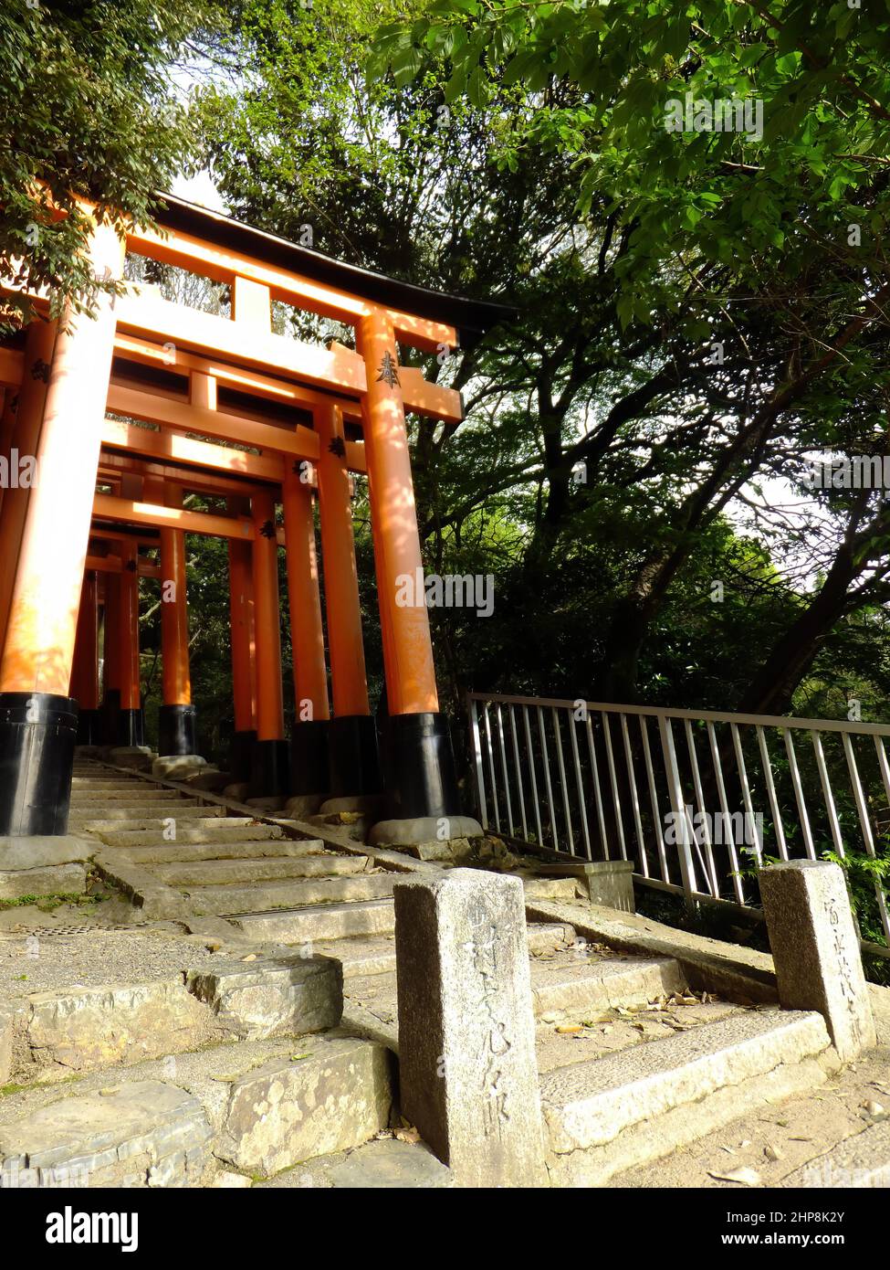 Sunny view of the Senbon Torii of Fushimi Inari-taisha at Kyoto, Japan ...
