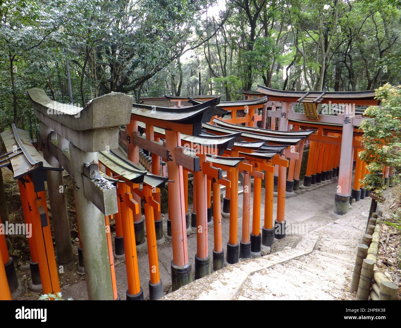 Sunny view of the Senbon Torii of Fushimi Inari-taisha at Kyoto, Japan ...