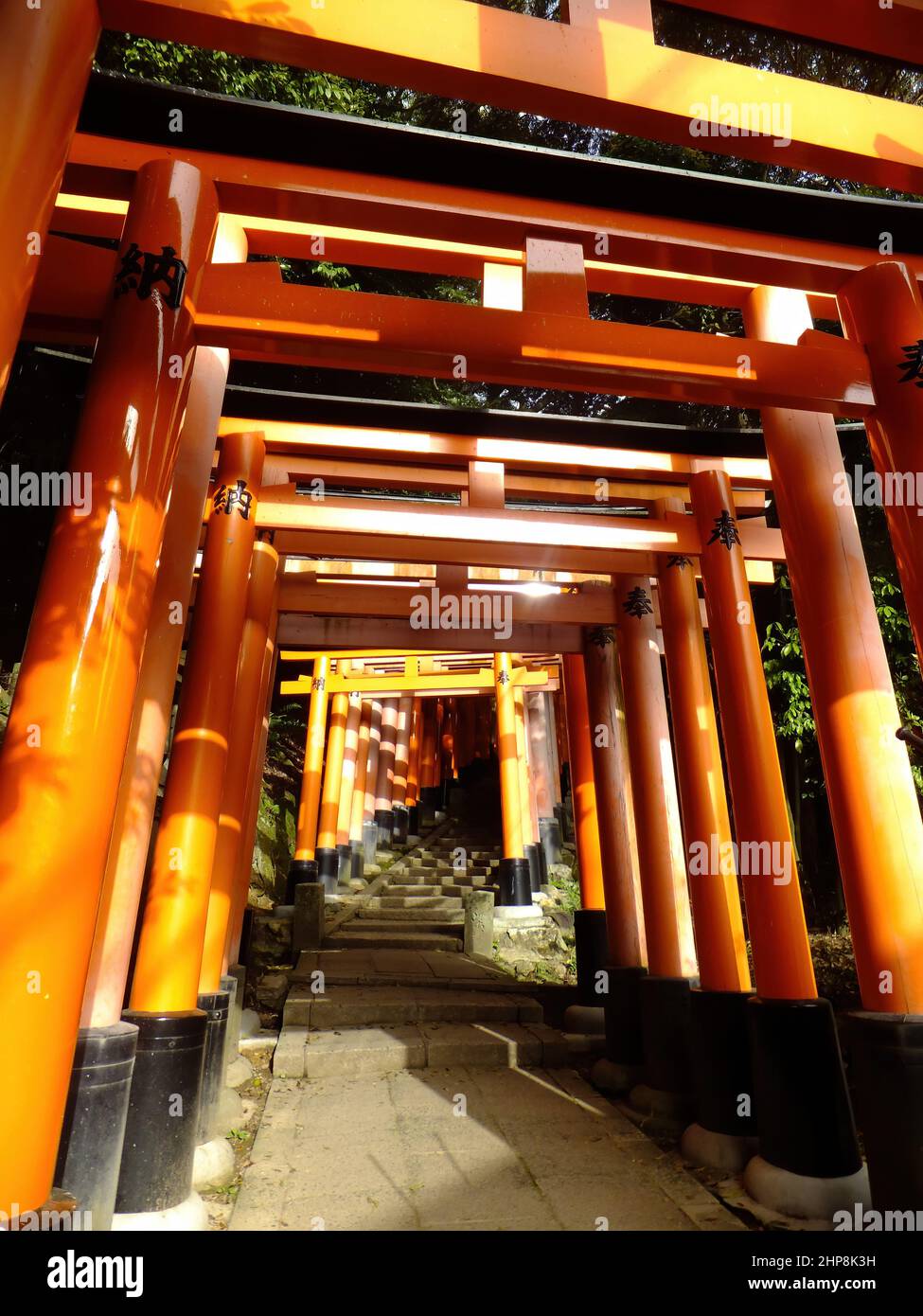 Sunny view of the Senbon Torii of Fushimi Inari-taisha at Kyoto, Japan ...
