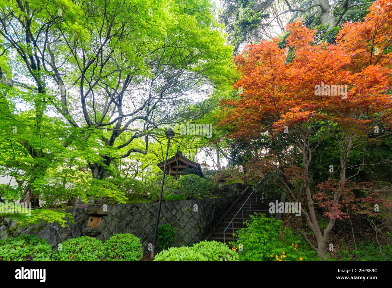 Hondo nature reserve hi-res stock photography and images - Alamy