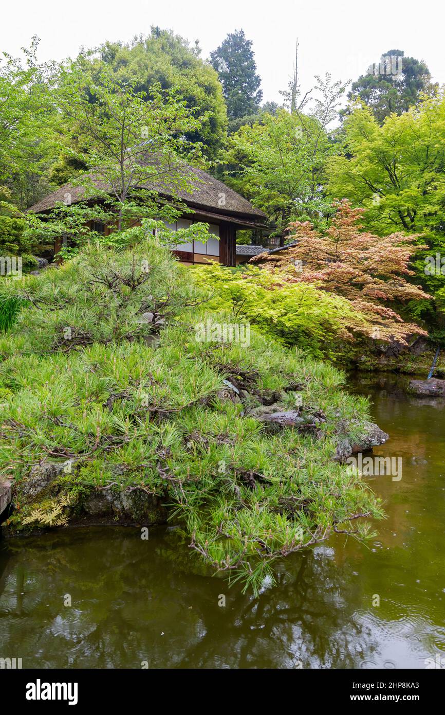 Hondo nature reserve hi-res stock photography and images - Alamy