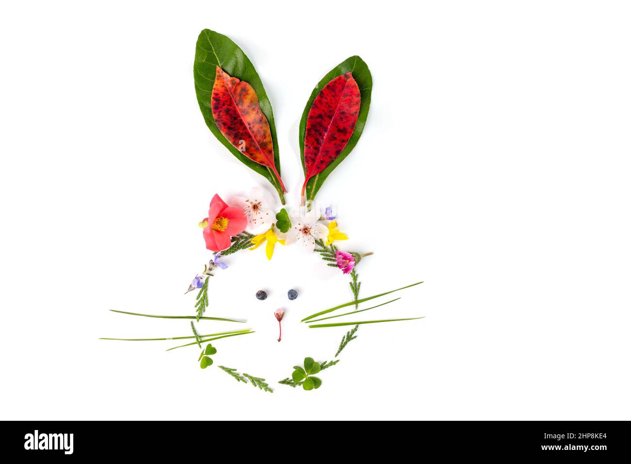 spring nature craft for kids, rabbit or bunny made of leaves and ...