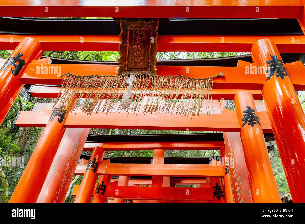 Sunny view of the Senbon Torii of Fushimi Inari-taisha at Kyoto, Japan ...