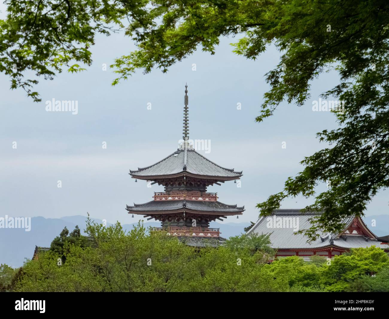 Overcast view of the famous Kiyomizu dera Temple at Kyoto Stock Photo ...