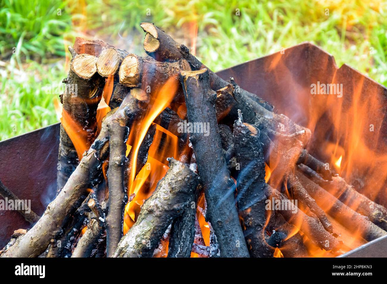Bonfire made of branches of fruit trees. Flame flutters in wind. Green ...