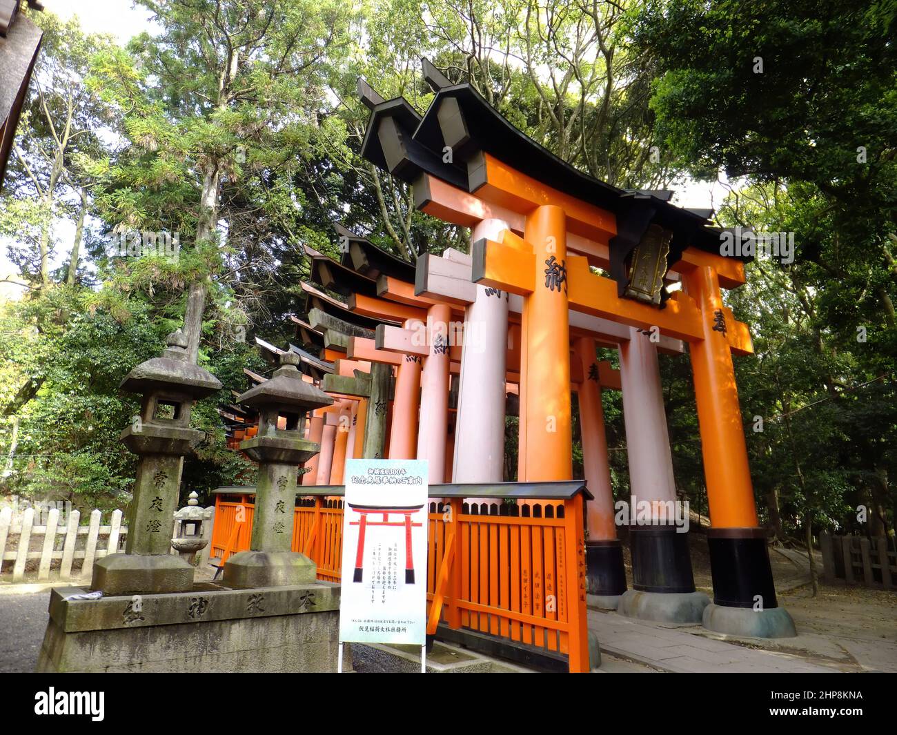 Sunny view of the Senbon Torii of Fushimi Inari-taisha at Kyoto, Japan ...