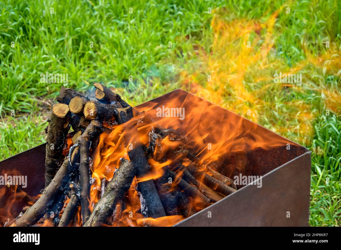 Bonfire made of branches of fruit trees. Flame flutters in wind ...