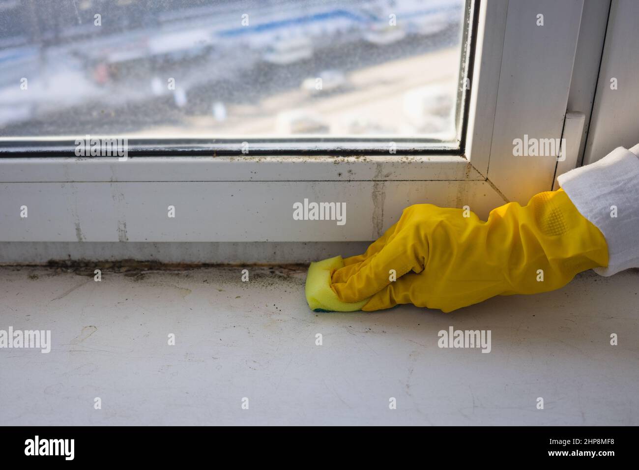 Cleaning the plastic window sill from mold and dirt. A woman in rubber ...