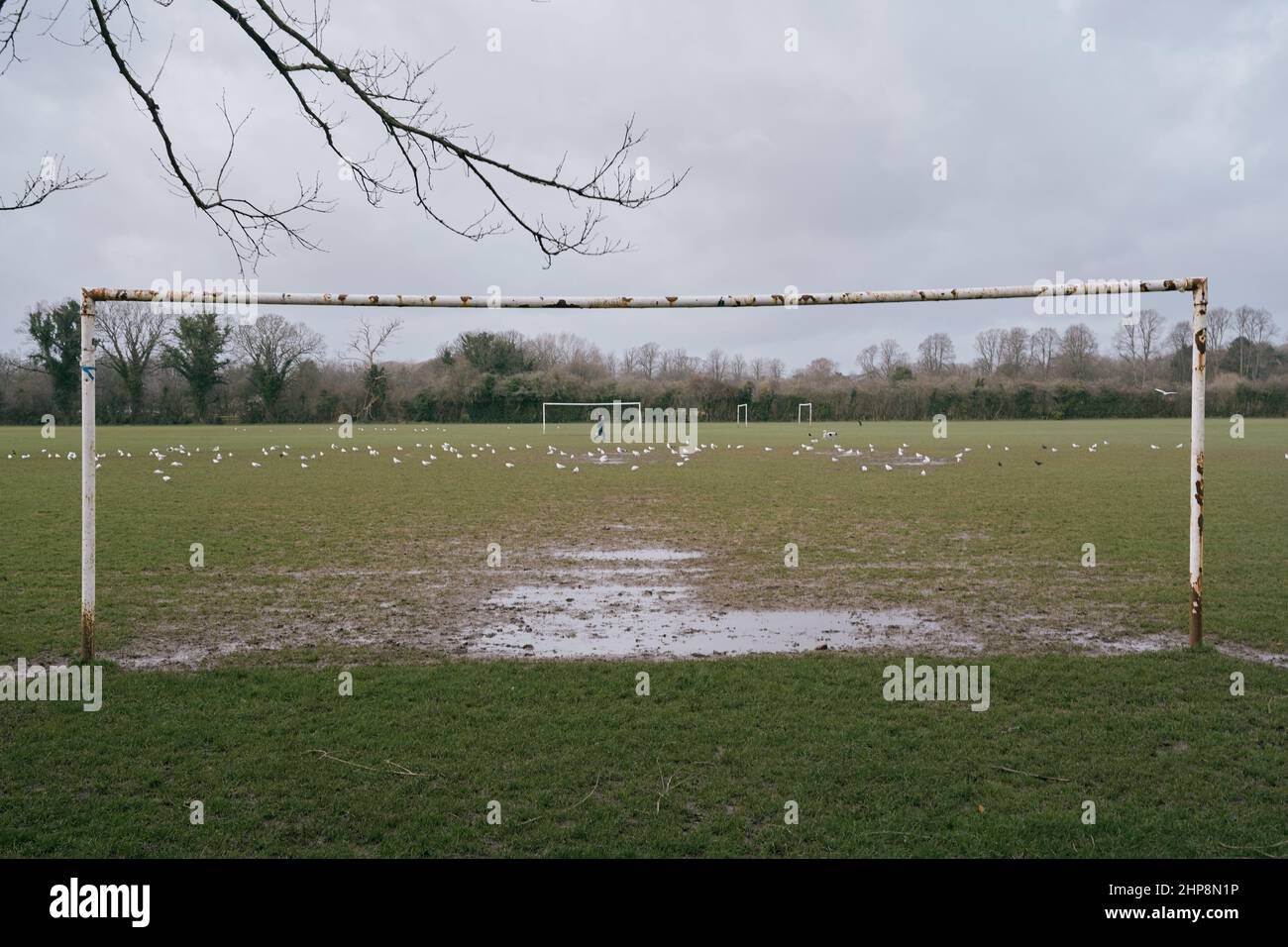 Pontcanna hi-res stock photography and images - Alamy