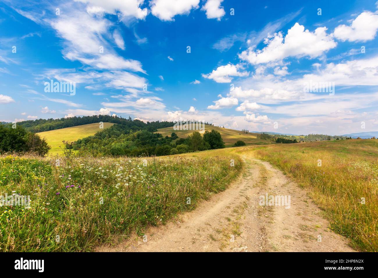 rural road through grassy meadows. wonderful countryside landscape with ...