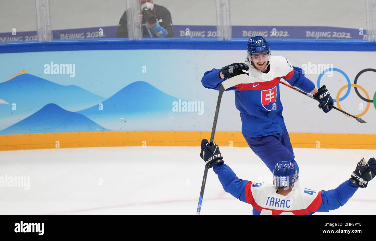 Beijing, China. 19th Feb, 2022. Pavol Regenda (top) of Slovakia ...