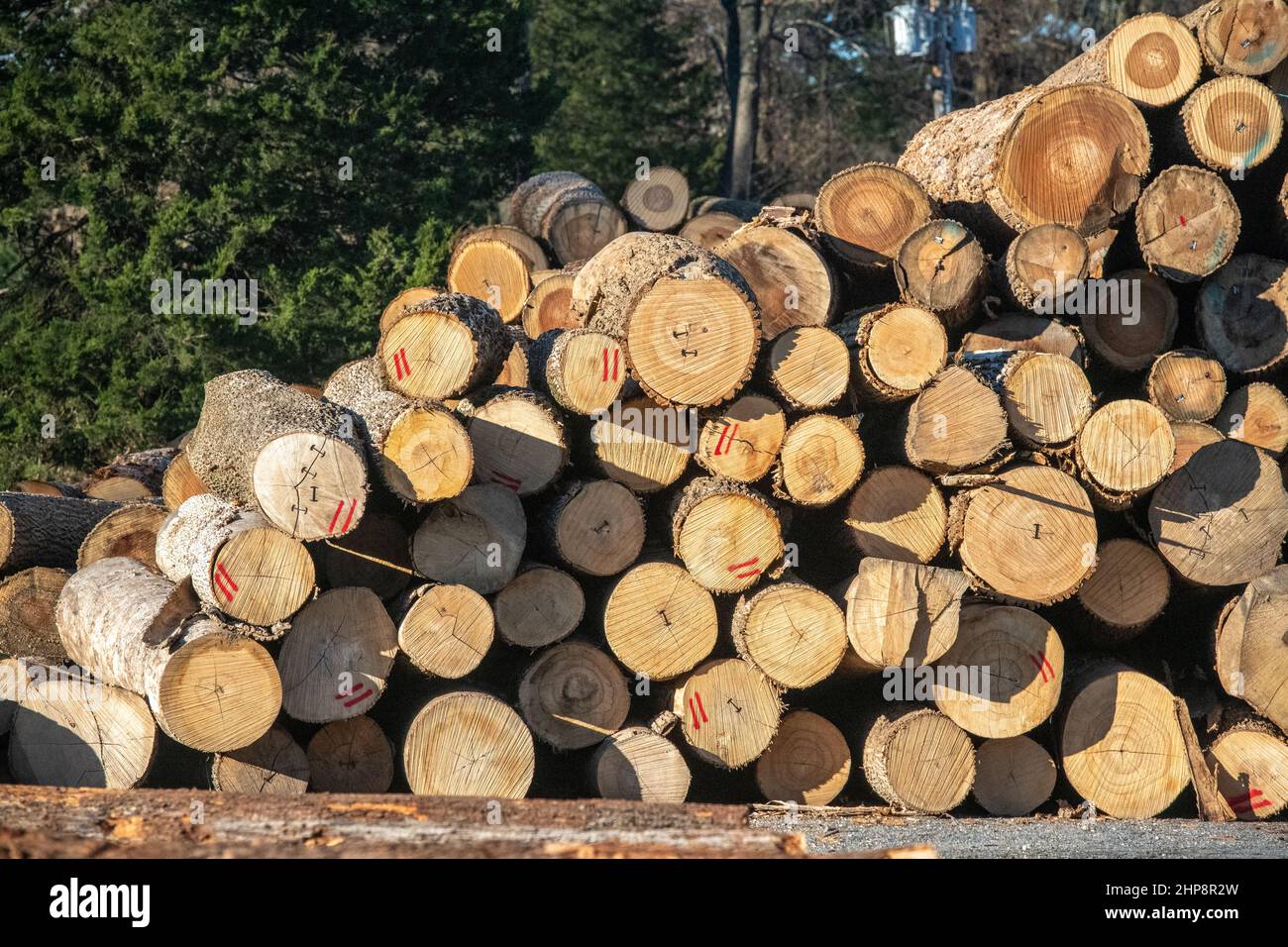 Lumber stacks hi-res stock photography and images - Alamy