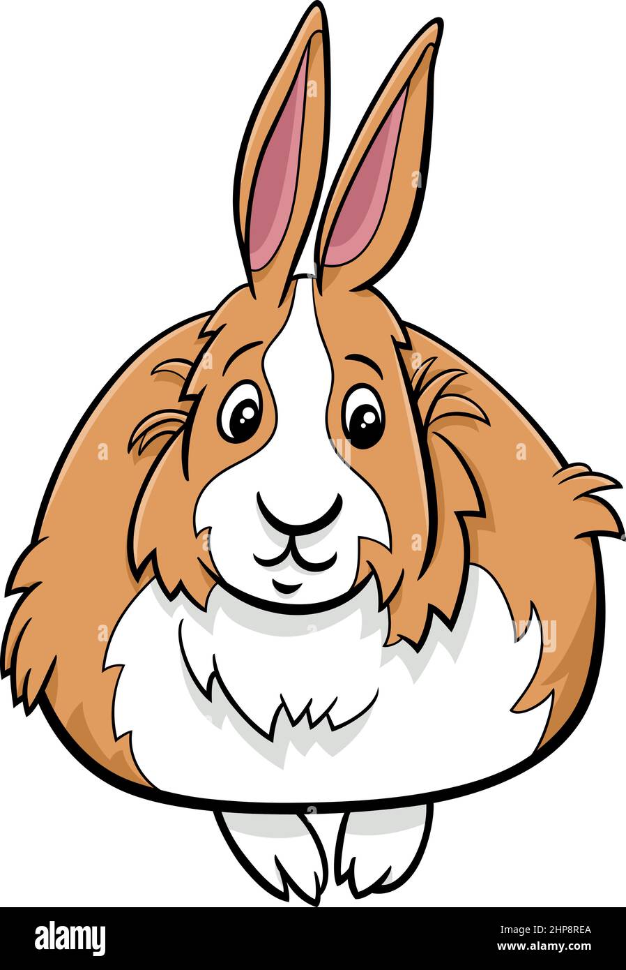 White dwarf rabbit Stock Vector Images - Alamy