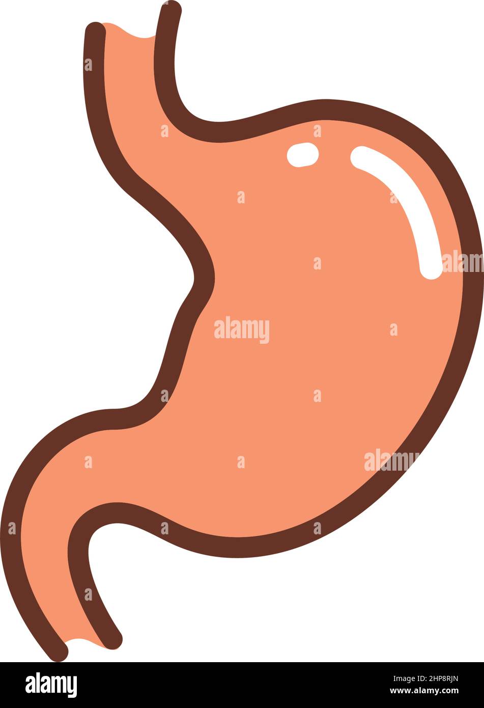 Stomach pain anatomy medical Cut Out Stock Images & Pictures - Alamy