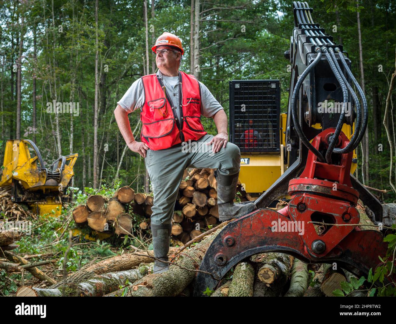 portrait of forestry worker and machinery Stock Photo - Alamy