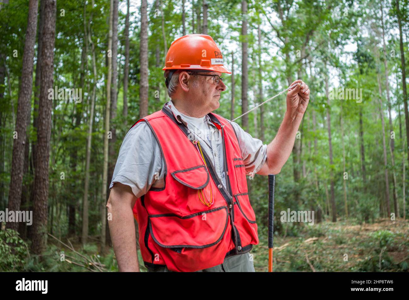 Forestry worker hi-res stock photography and images - Alamy