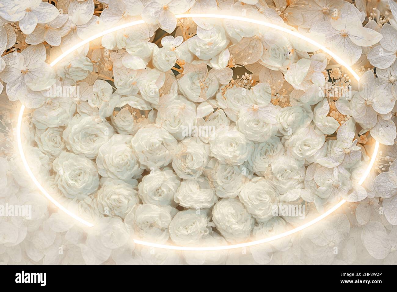 Ellipse lighten frame on a white flowers Stock Photo - Alamy