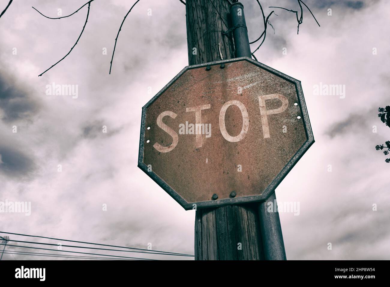 Stop traffic sign Stock Photo - Alamy